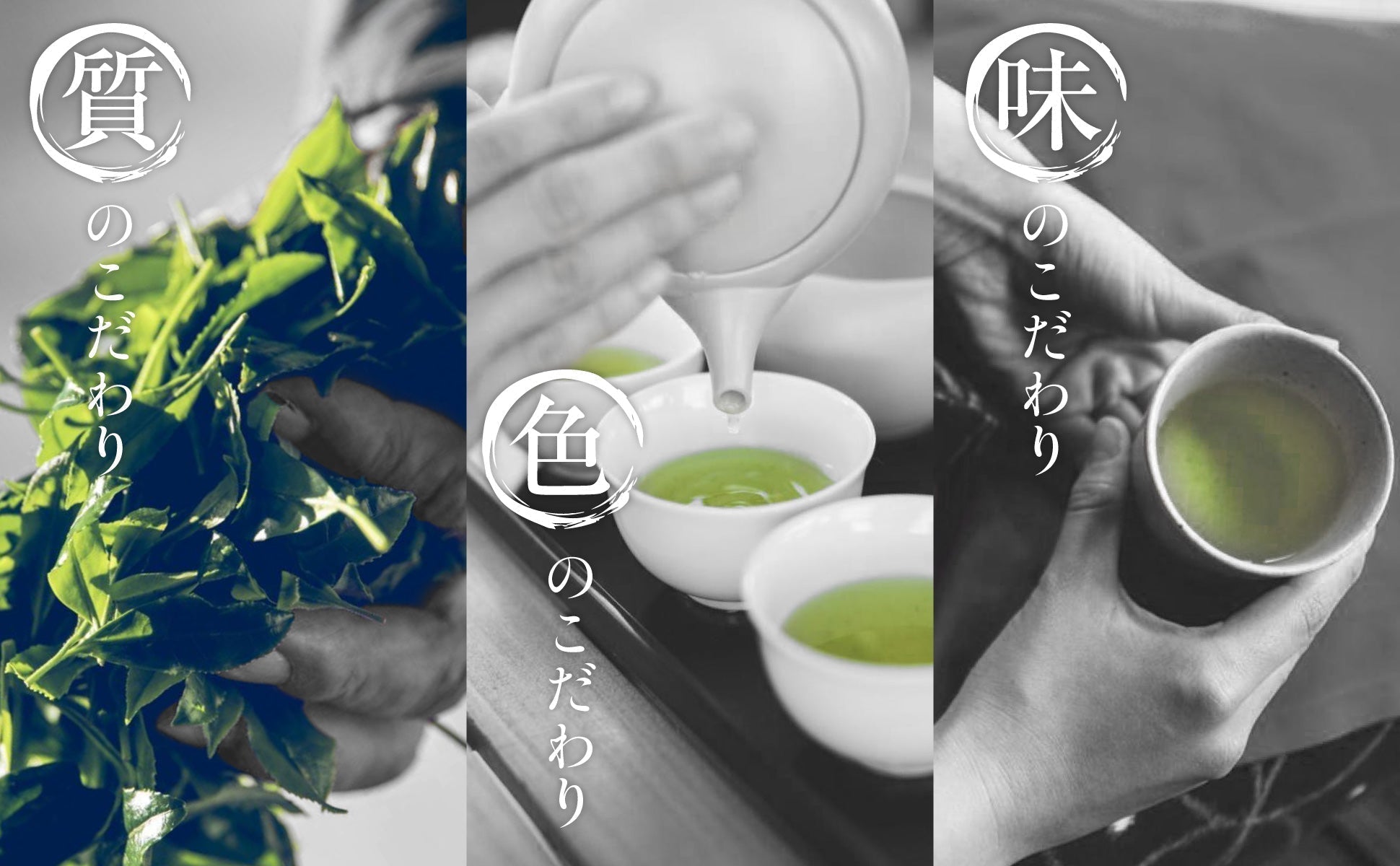 【新製品情報】CPI ご当地プロテイン 八女茶味 発売 – ALLUP SHOP